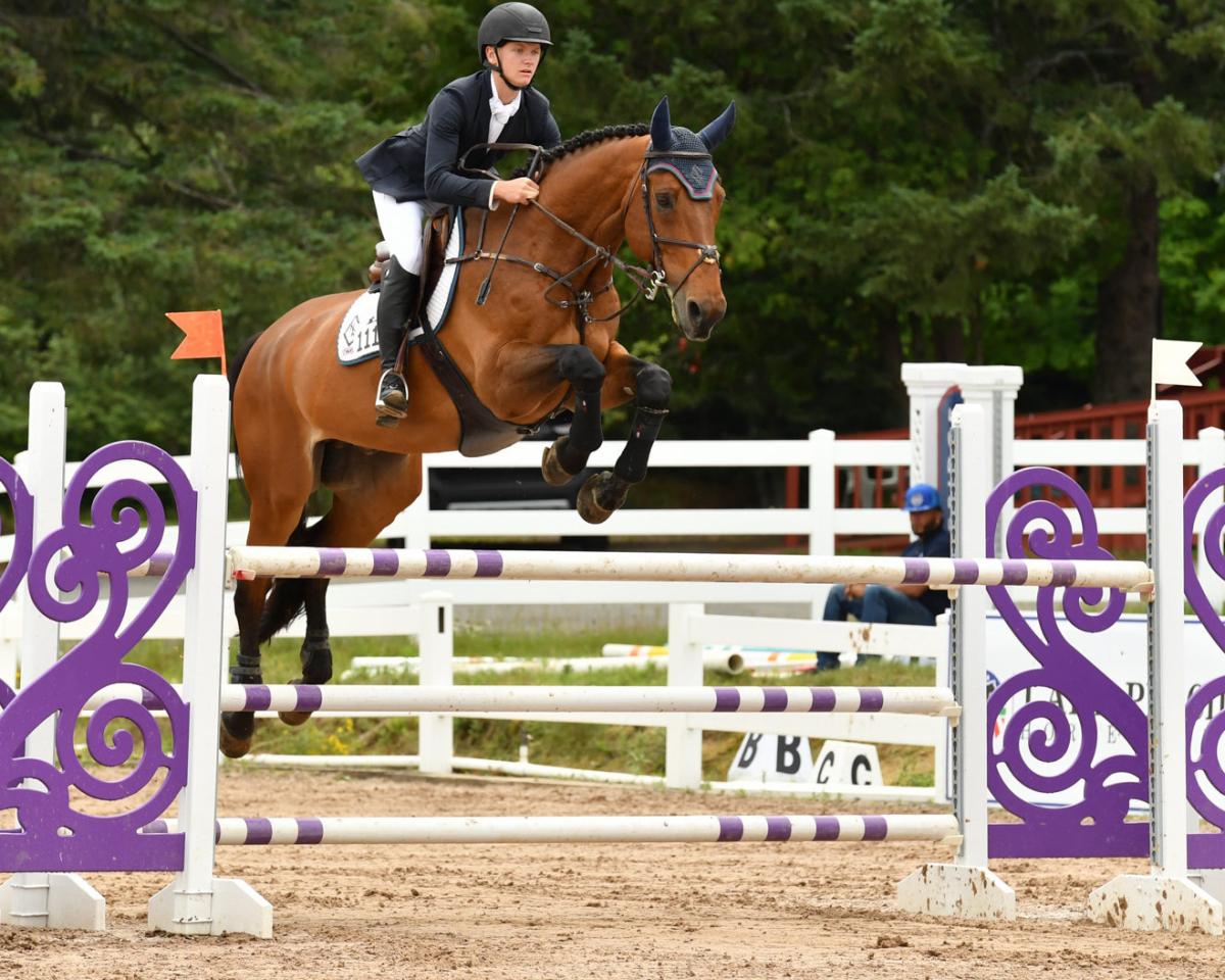 Chatman: Springpaard, Stamboom, Resultaten