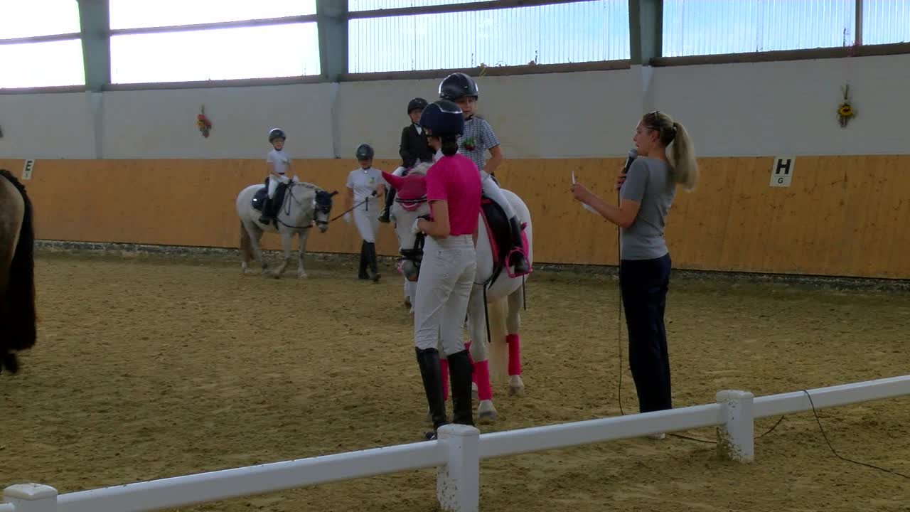 Video de Big Boy de Coco - Reitturnier Datteln 2023, Competencia de ...