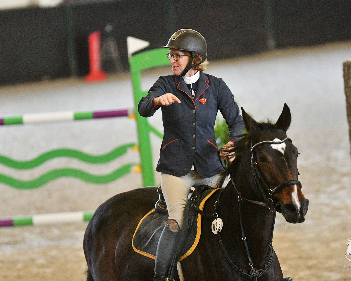 Kobi: Cheval, Pedigree