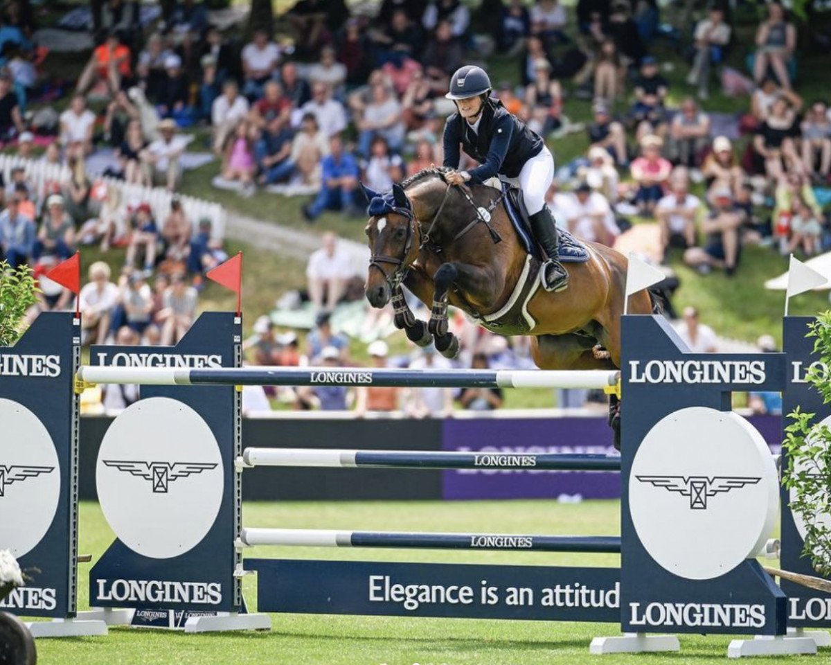 Qualoma Z: Cheval de saut, 1 vidéo exclusive, Pedigree, Résultats