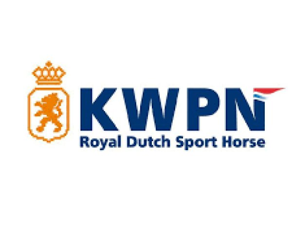 Ronja Tabke all results, horses and achievements