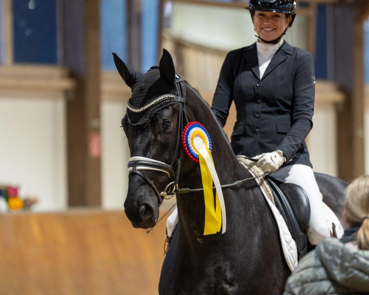Wszystkie wyniki turniejowe Altrido Hali's Falesia