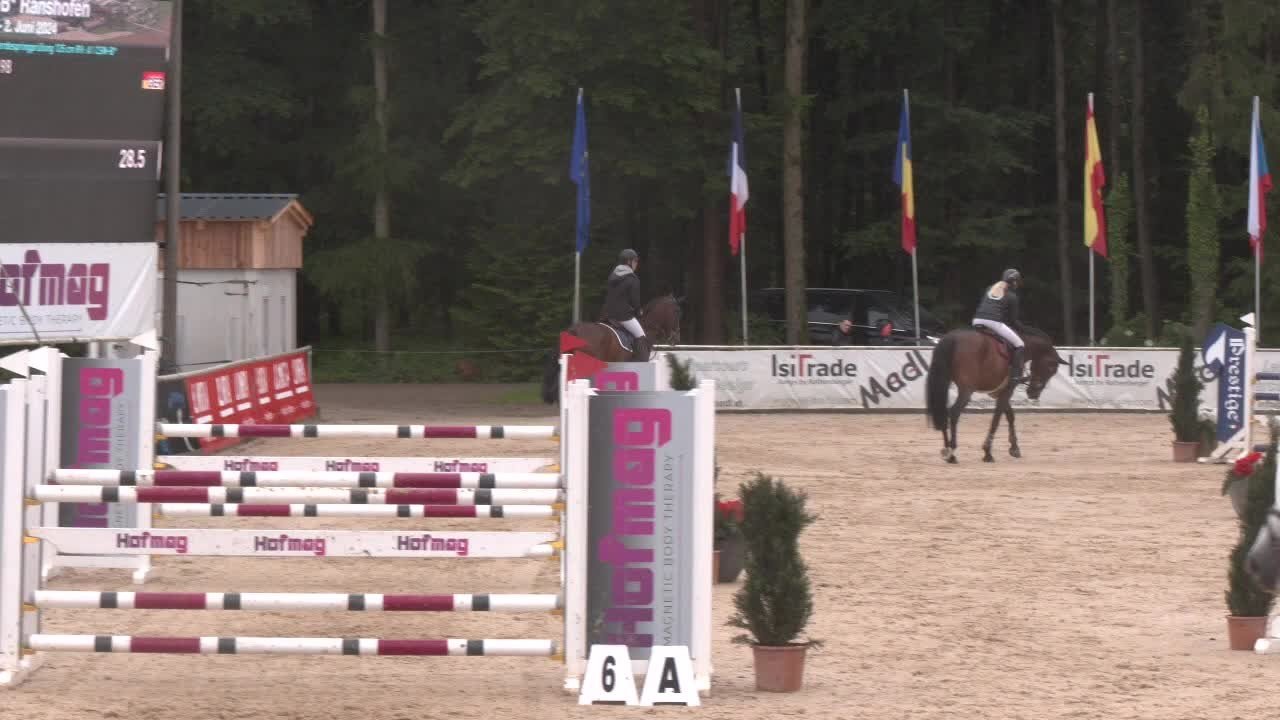 Video von Dagobert 133 - Reitturnier Ranshofen - Braunau am Inn 2024 ...