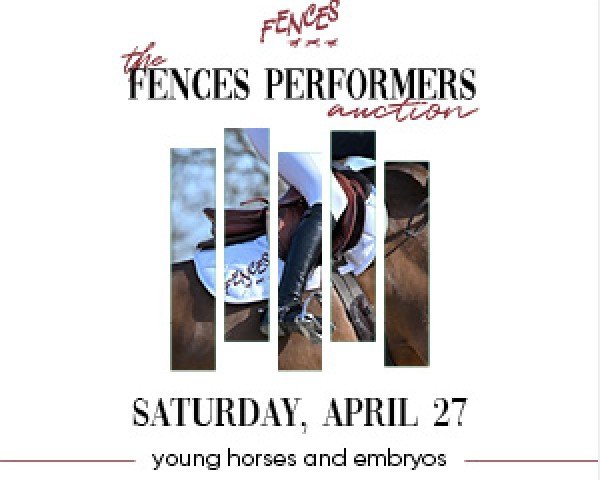 Zoe Kira Sophie Seidel alle Ergebnisse, Pferde und Erfolge