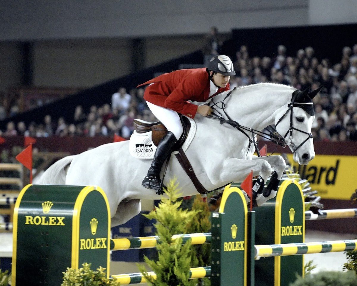 Spirit der wilde Mustang: Cheval, Pedigree, Résultats