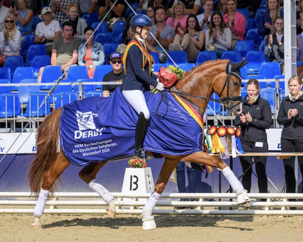 Mantovani's Senorita La Bonita: Cheval de Dressage, Pedigree, Résultats