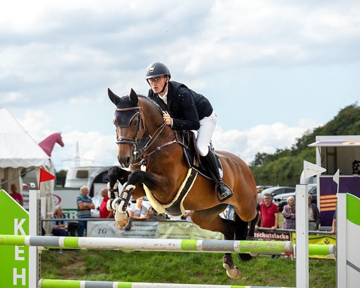 Galiane de la Bonnette: Jument de race, Pedigree