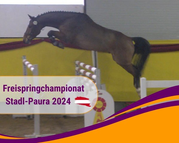 Josie Richter all results, horses and achievements