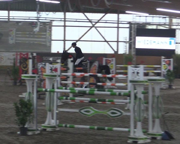 Vidéo de Keltic Catman - Reitturnier Pausin 2024, Épreuve de saut d ...